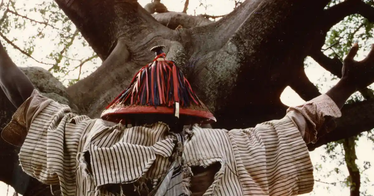 Fad’jal - Kino Rex Bern