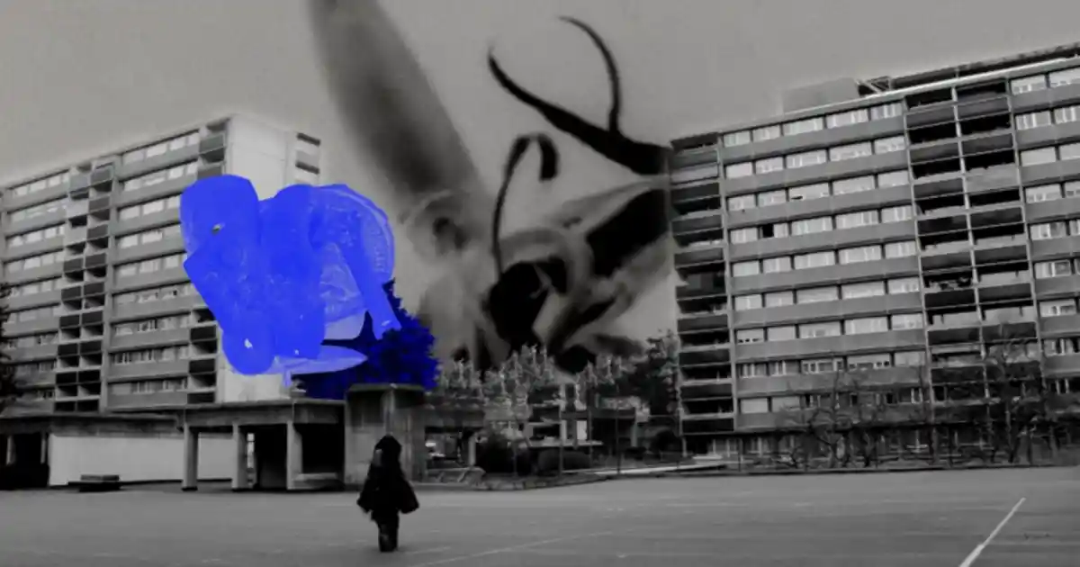 REX Box im Gespräch - Kino Rex Bern